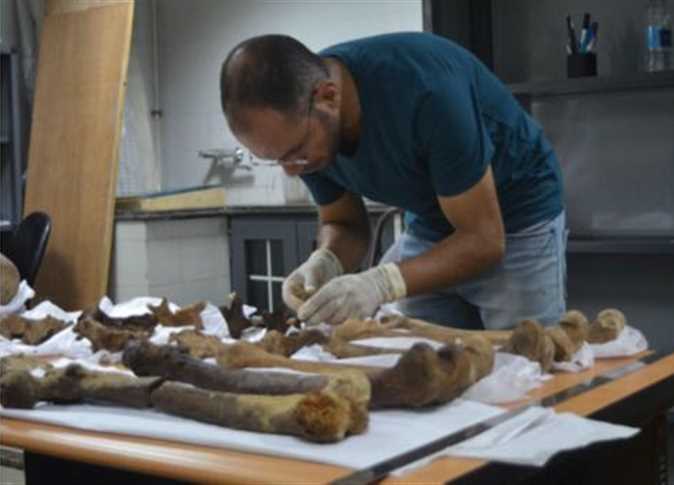 Breaking: The mystery of Alexander's Tomb has finally been solved!