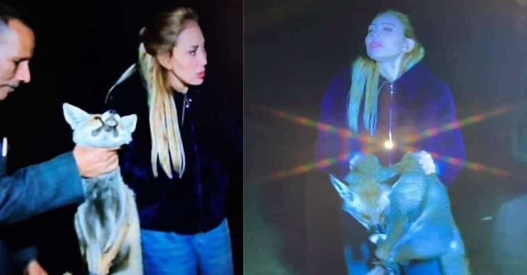 The Story Of How Riham Said Displayed Animal Brutality On National ...