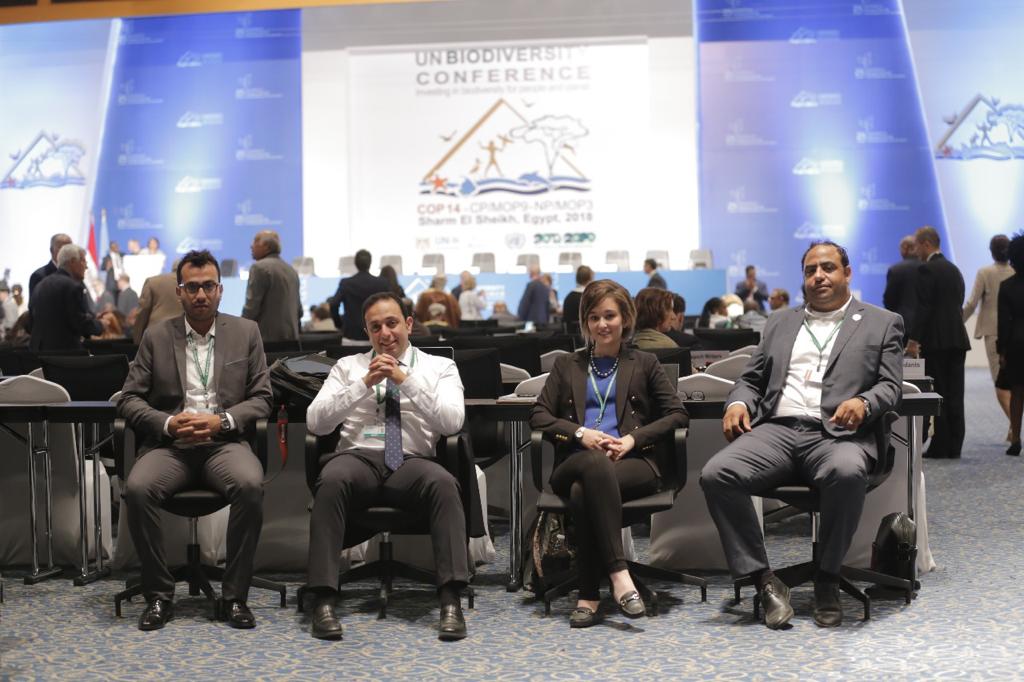 TMS Celebrates Its Expansion Through Opening a New Branch in Dubai, UAE ...